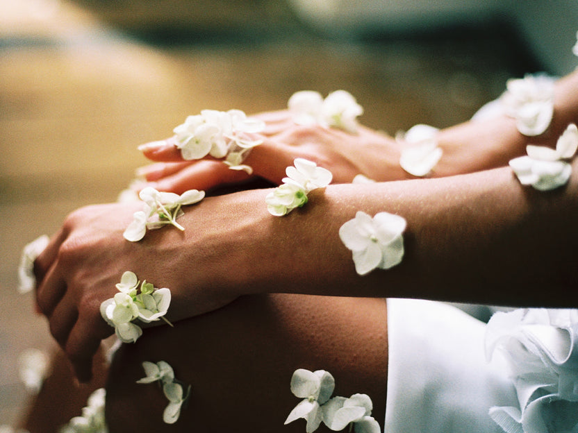 Probiotic Complex – Theonia UK