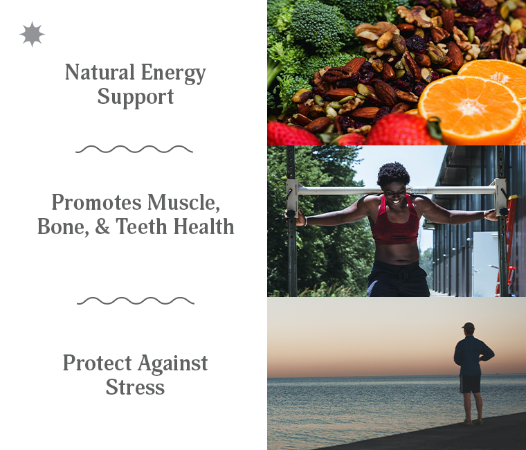 Magnesium Complex – Theonia UK